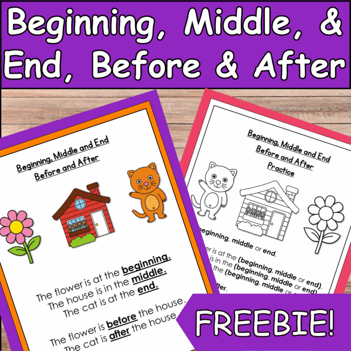 Freebie Beginning, Middle and End/Before & After Practice - Susan's ...