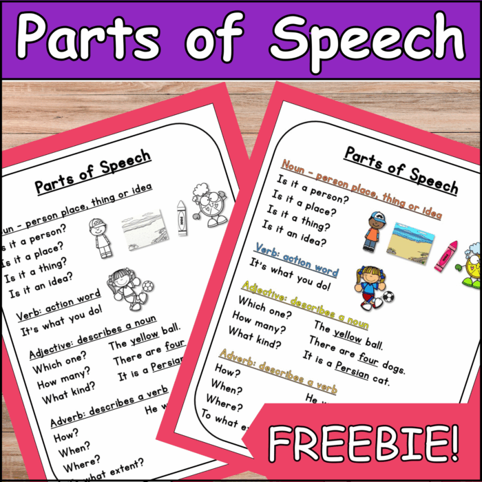 Freebie Parts of Speech / Visual Aid - Susan's Learning Connection